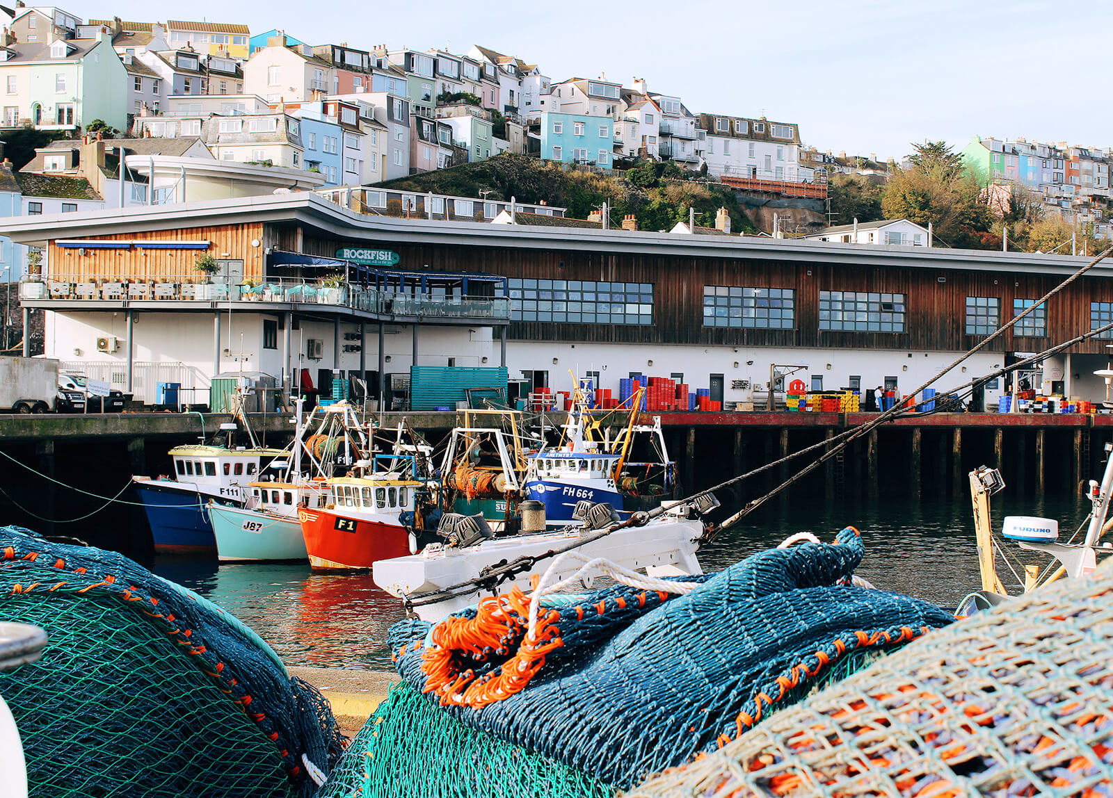Fish & Seafood | Frozen & Fresh | Kingfisher Brixham