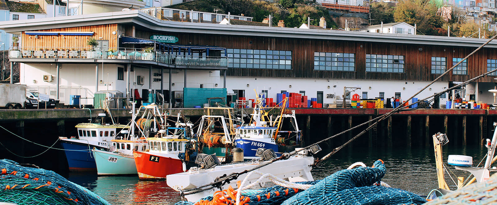 Devon Fishmonger | Seafood Supplier | Kingfisher Brixham