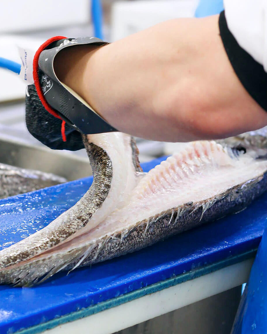 Devon Fishmonger | Seafood Supplier | Kingfisher Brixham