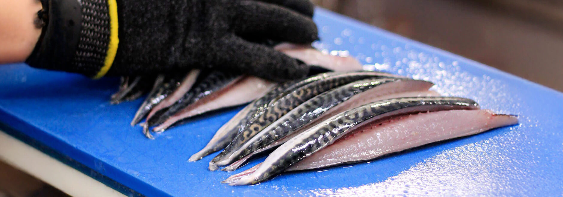 Devon Fishmonger | Seafood Supplier | Kingfisher Brixham