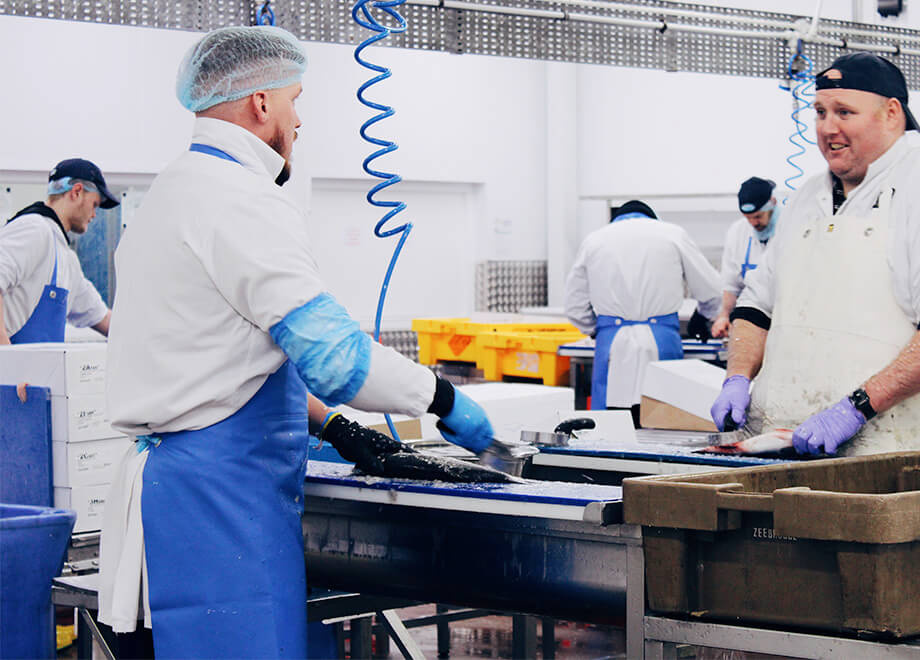 Devon Fishmonger | Seafood Supplier | Kingfisher Brixham