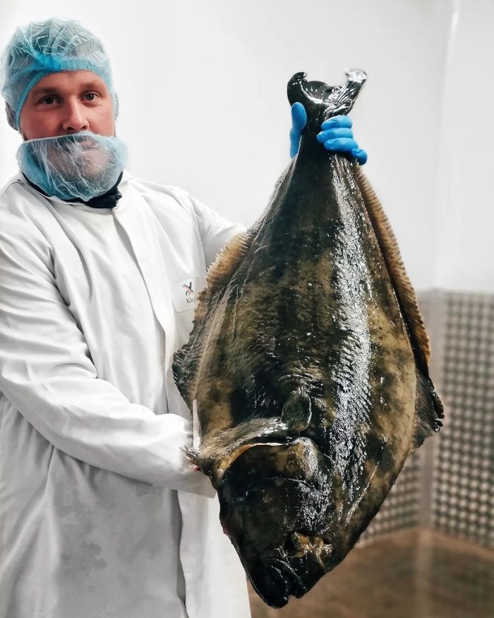 Our Fishermen | Kingfisher Brixham : Kingfisher Brixham