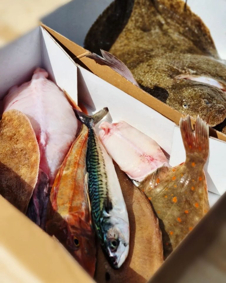 Seafood Supplier | Devon | Kingfisher Brixham : Kingfisher Brixham