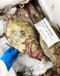 About Us | Kingfisher Brixham : Kingfisher Brixham