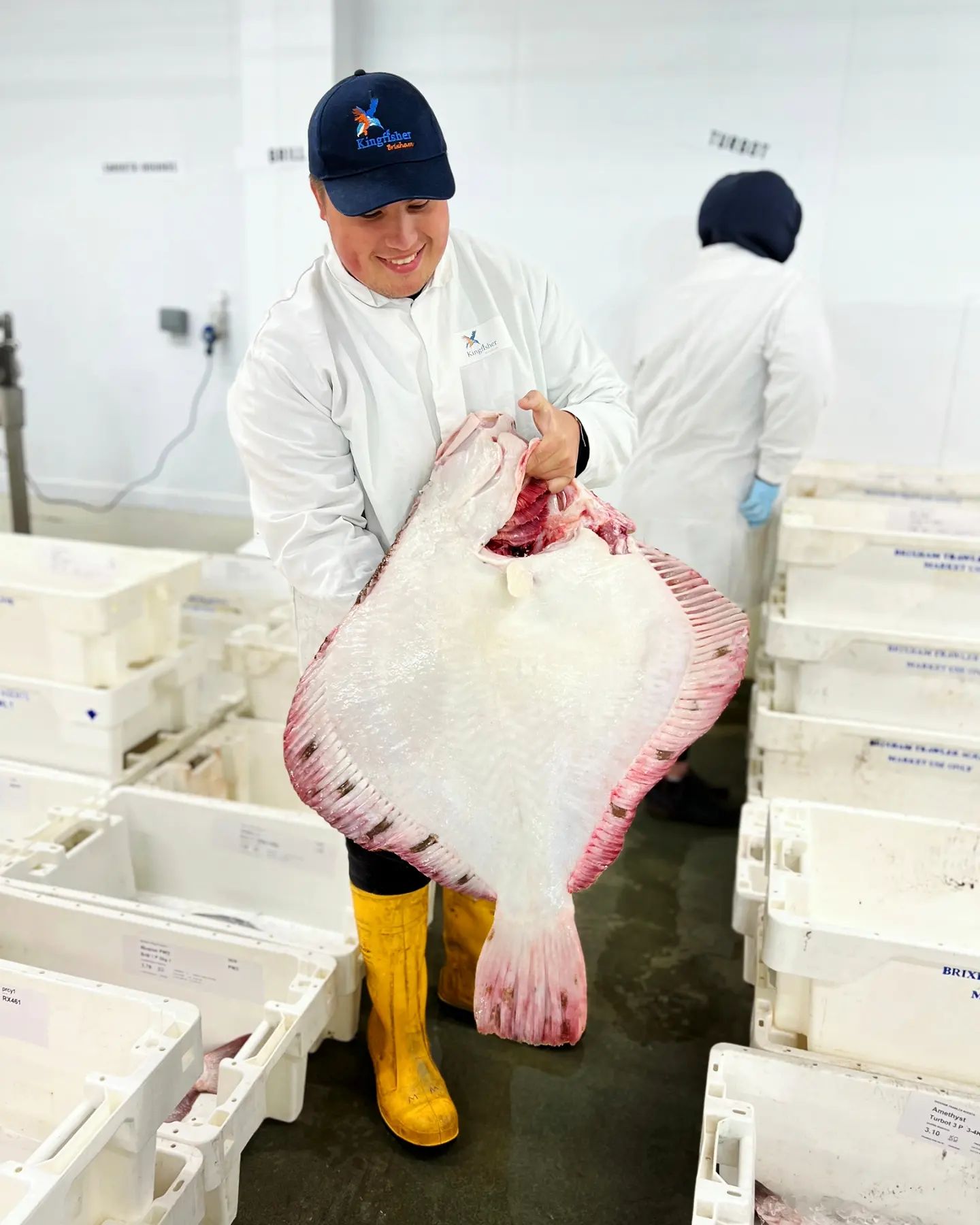 Our Customers | Seafood Wholesaler | Kingfisher Brixham : Kingfisher ...
