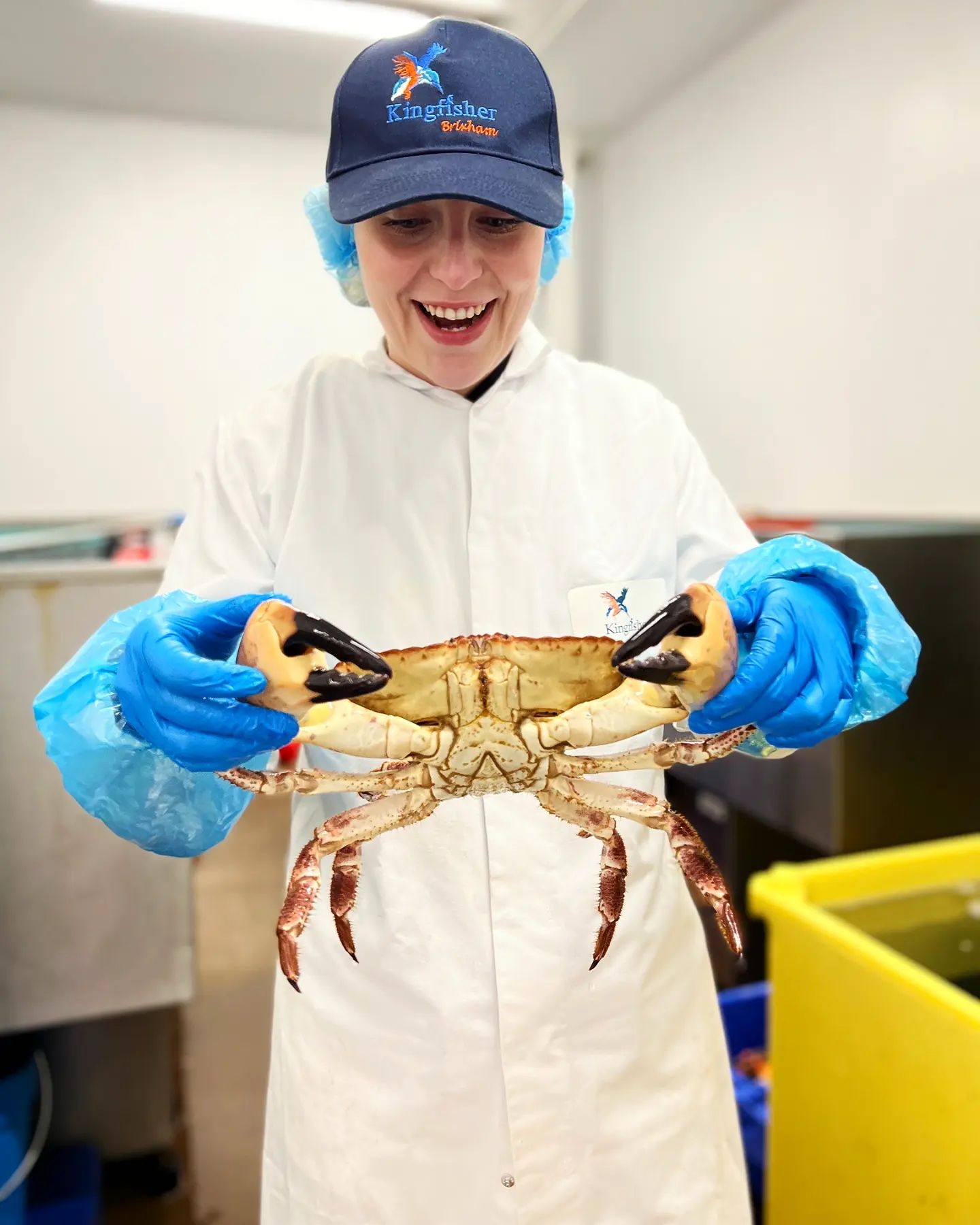 Fish & Seafood | Frozen & Fresh | Kingfisher Brixham : Kingfisher Brixham