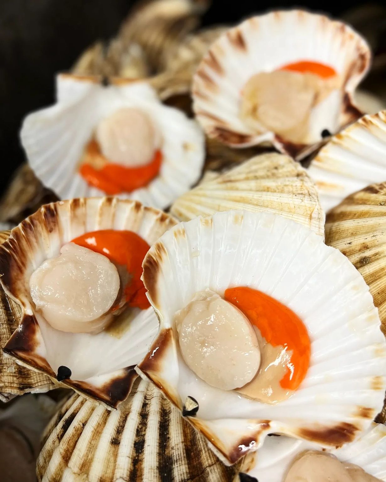 Fish & Seafood | Frozen & Fresh | Kingfisher Brixham : Kingfisher Brixham