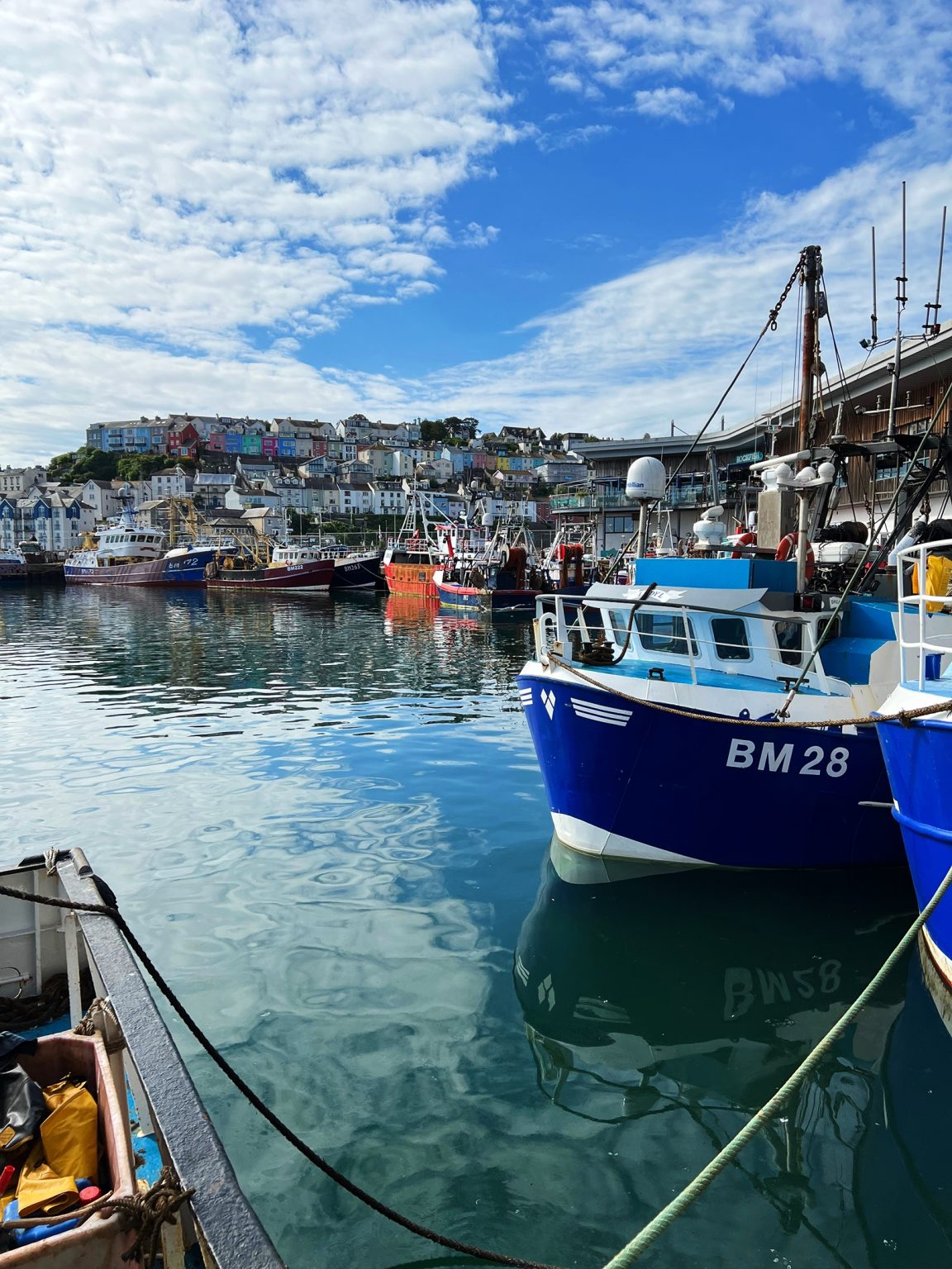 Fish & Seafood | Frozen & Fresh | Kingfisher Brixham : Kingfisher Brixham