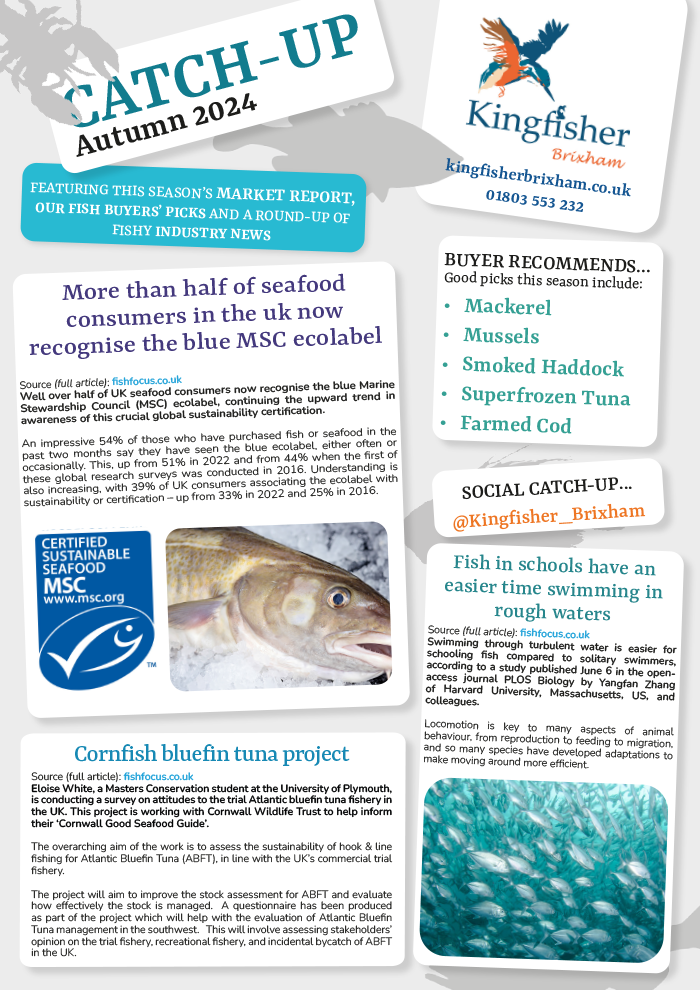 Devon Fishmonger | Seafood Supplier | Kingfisher Brixham : Kingfisher ...