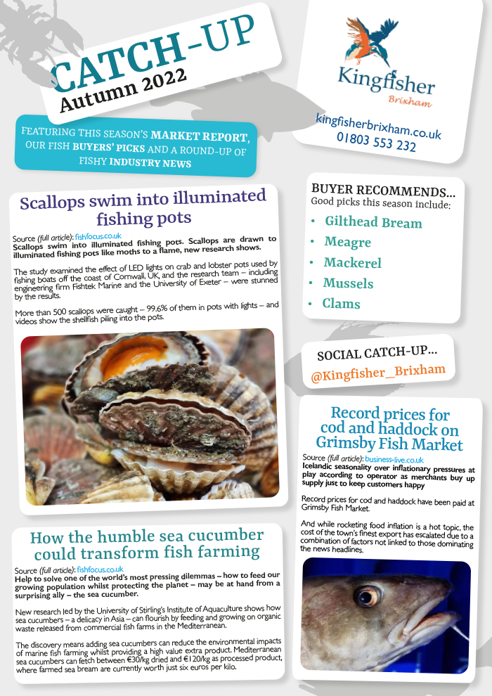 Devon Fishmonger | Seafood Supplier | Kingfisher Brixham : Kingfisher ...