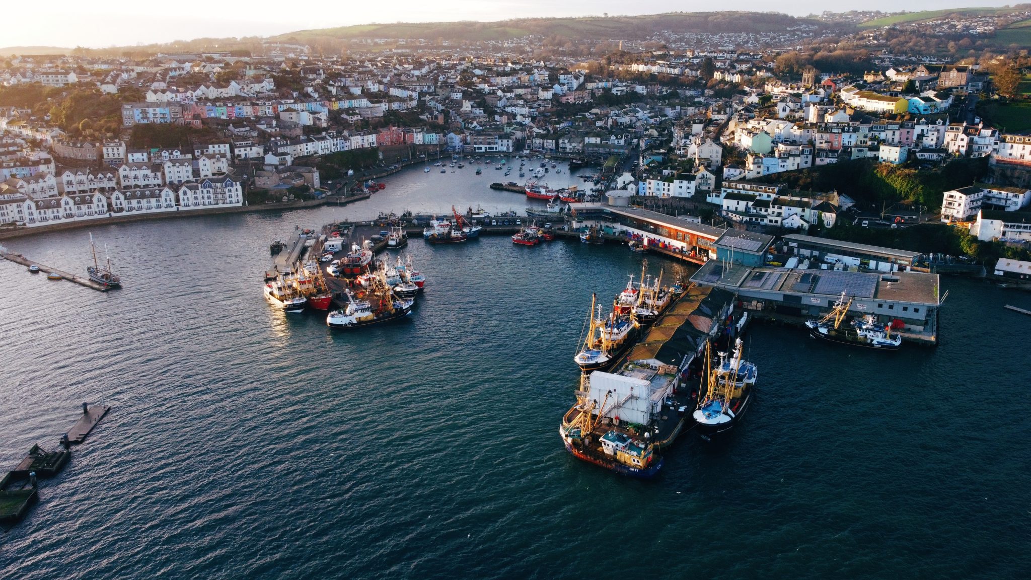 Fish & Seafood | Frozen & Fresh | Kingfisher Brixham : Kingfisher Brixham