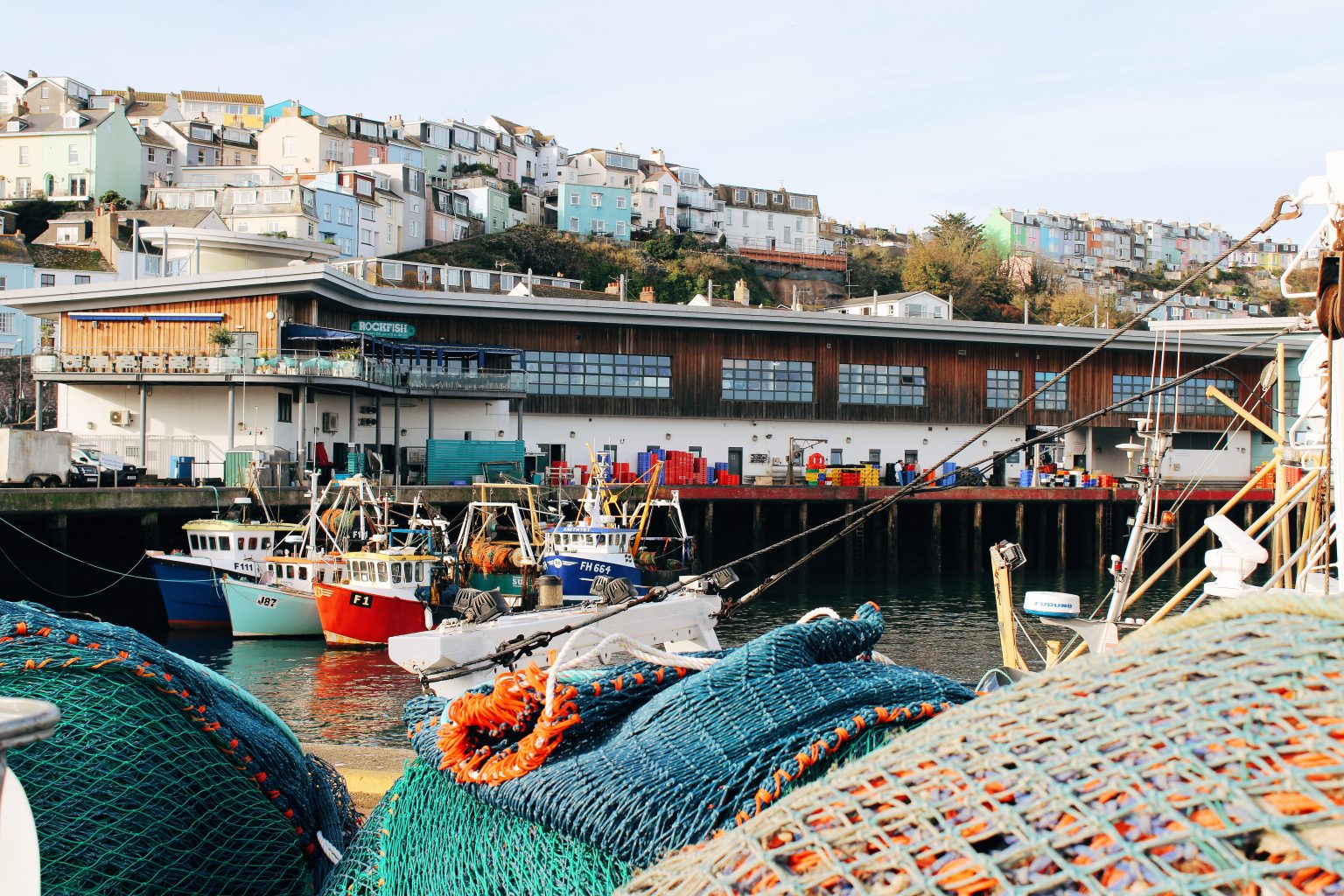 Fish & Seafood | Frozen & Fresh | Kingfisher Brixham : Kingfisher Brixham