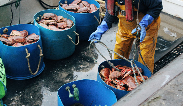 Our Fishermen | Kingfisher Brixham : Kingfisher Brixham