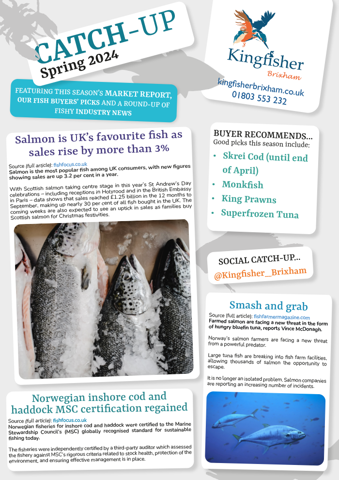 Devon Fishmonger | Seafood Supplier | Kingfisher Brixham : Kingfisher ...