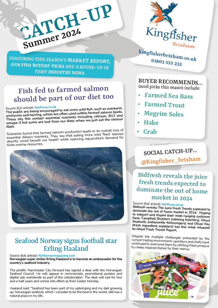 Devon Fishmonger | Seafood Supplier | Kingfisher Brixham : Kingfisher ...