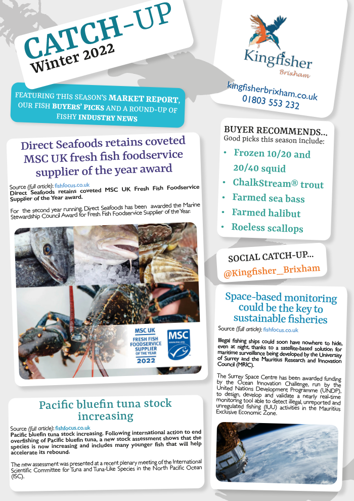 Devon Fishmonger | Seafood Supplier | Kingfisher Brixham : Kingfisher ...