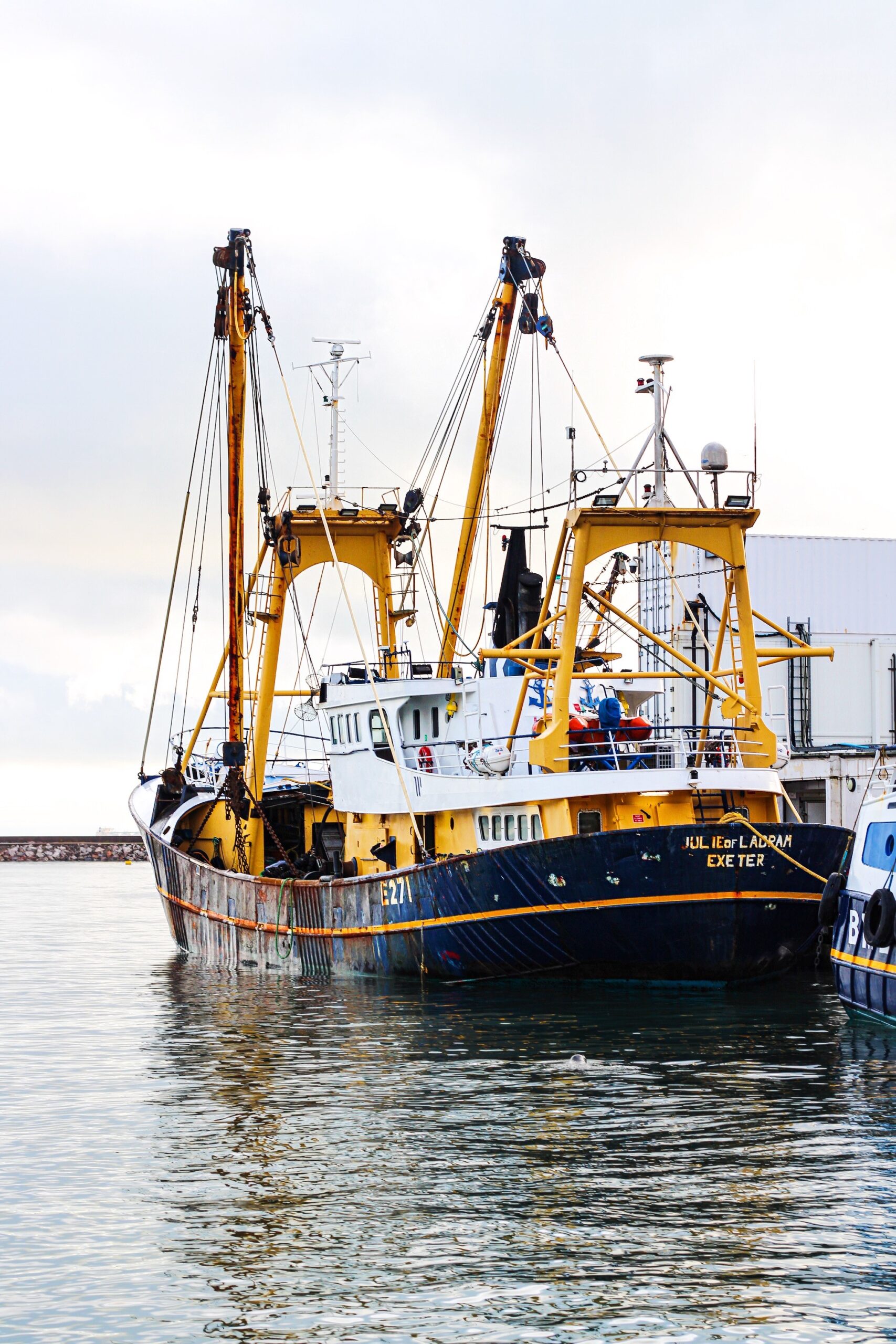 About Us | Kingfisher Brixham : Kingfisher Brixham